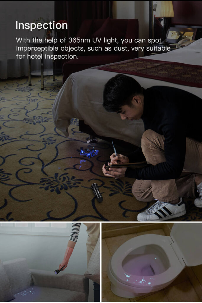 Wuben P26 Dual Light Source Torch – 500 Lumen White Light, and 365nm UV ...